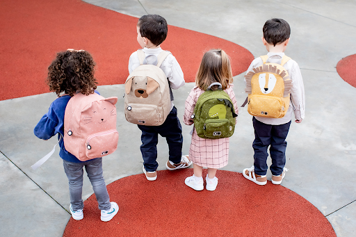 Adorable Mini Backpacks for Kids: A Parent's Ultimate Buying Guide ...
